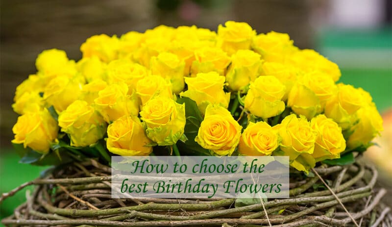 How to choose the best Birthday Flower| G S Flower Melbourne
